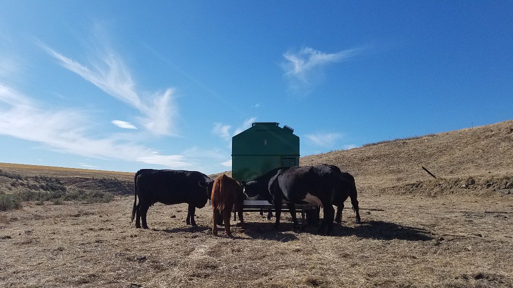 Sheep Feeder Solar Feeders Automatically Feed Your Cattle Sheep Goats